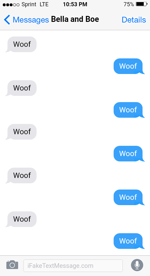 Fake Text Message | Make Fake Text Conversation